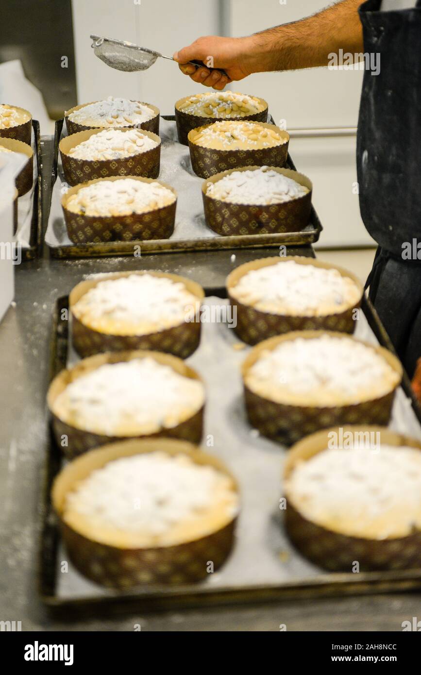 Adult strong man baking milanese traditional panettone is an Italian ...