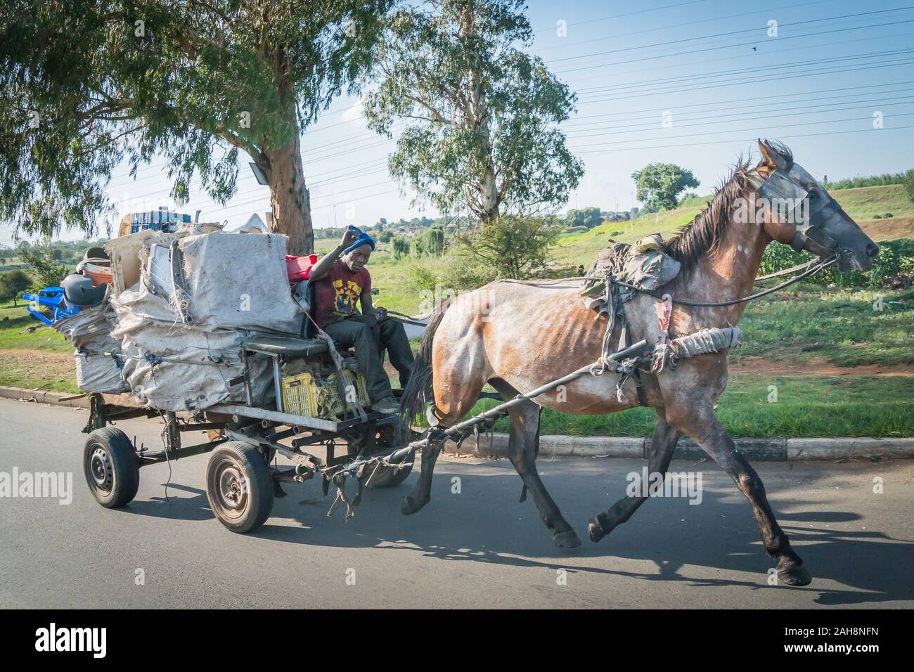 South africa litter johannesburg hi-res stock photography and images ...