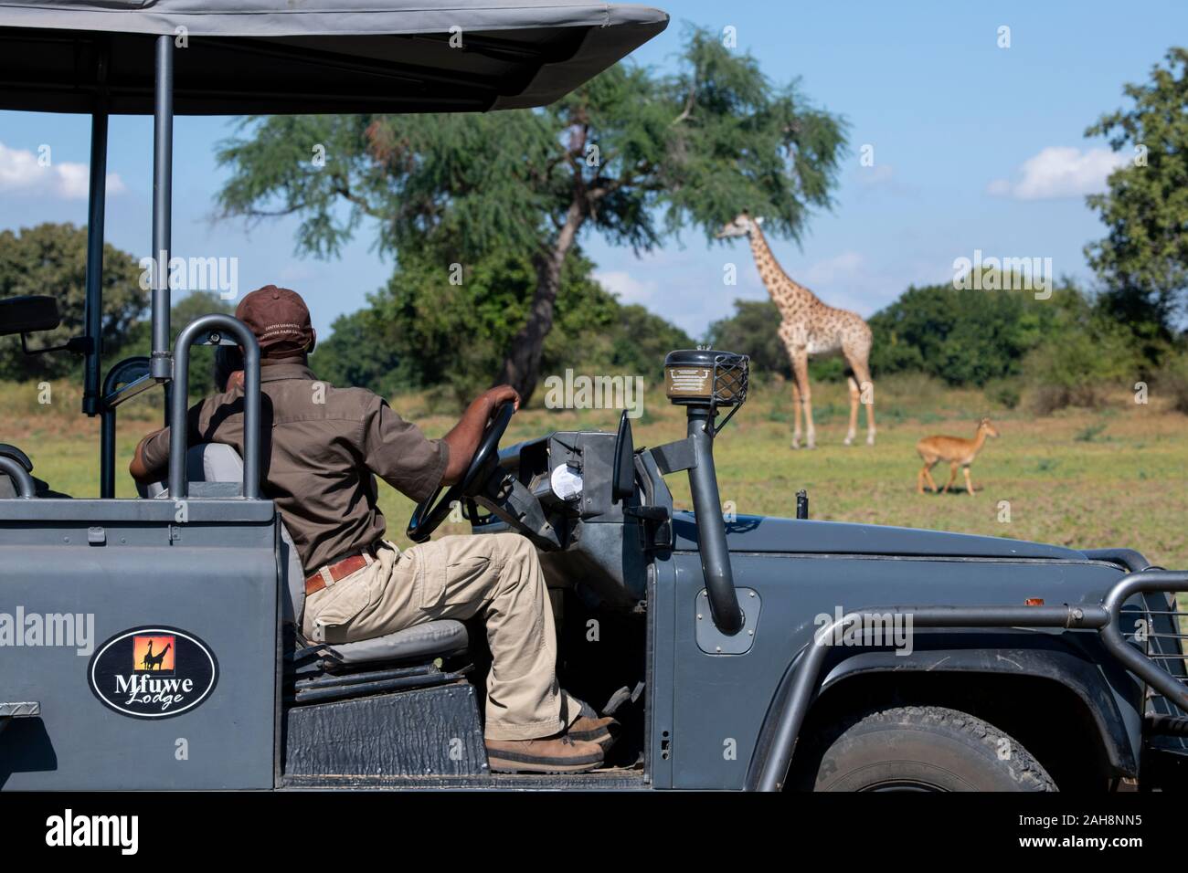 Giraffe driver hi-res stock photography and images - Alamy