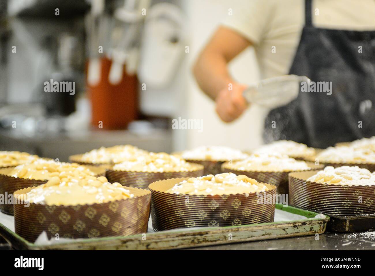 Adult strong man baking milanese traditional panettone is an Italian ...