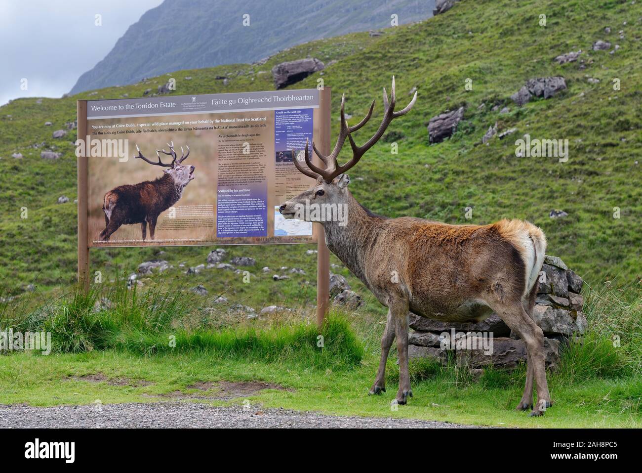 Wildlife information poster hi-res stock photography and images - Alamy