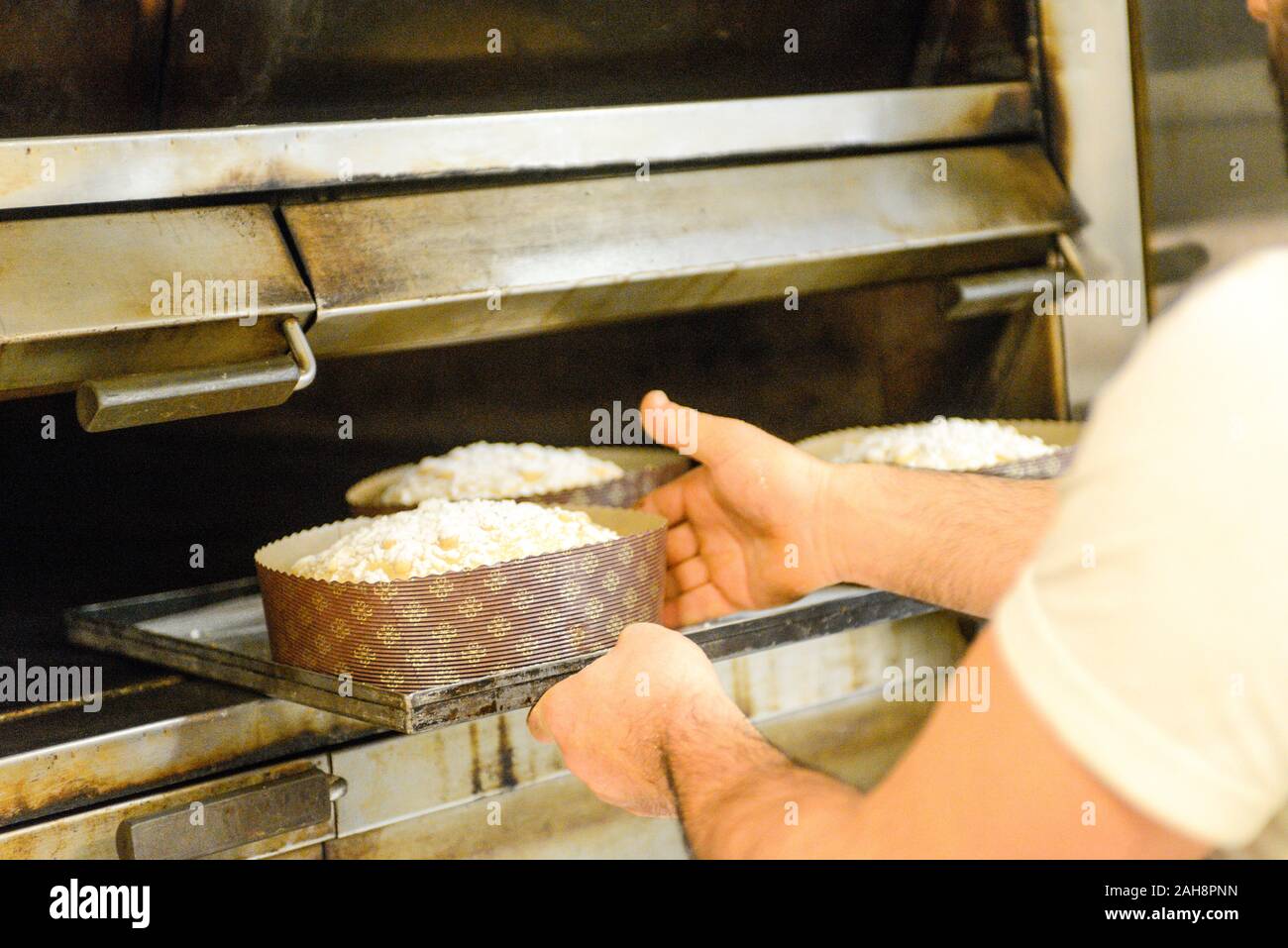 Adult strong man baking milanese traditional panettone is an Italian ...