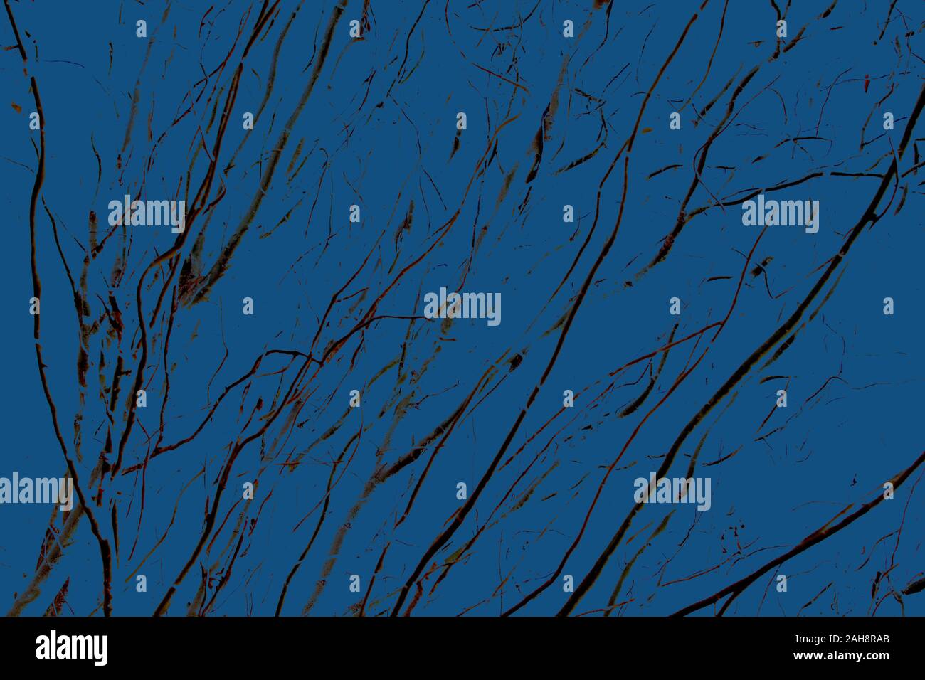 Abstract blue background. Tree branches on a classic blue background ...