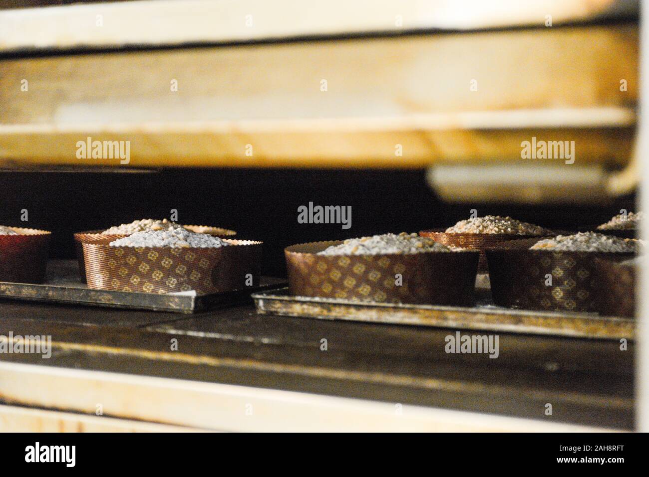 Adult strong man baking milanese traditional panettone is an Italian ...