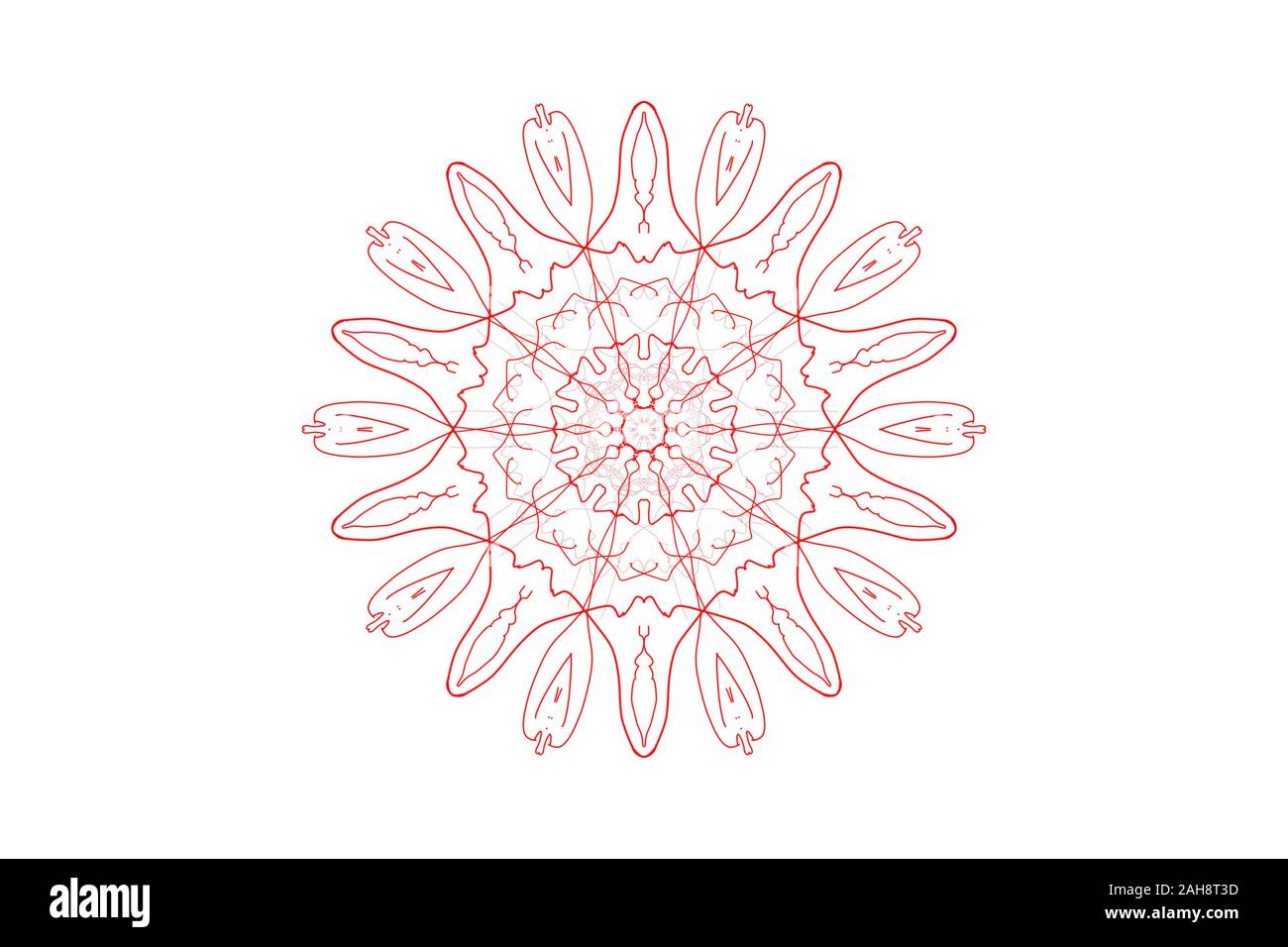 Symmetrical round pattern, red ornament with lines on a white ...