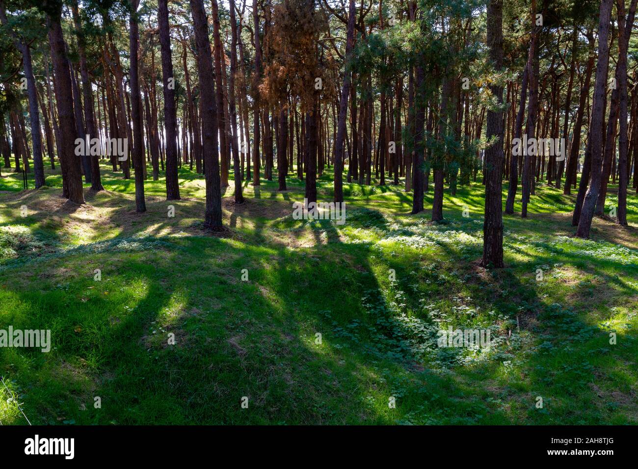 Pocked hi-res stock photography and images - Alamy