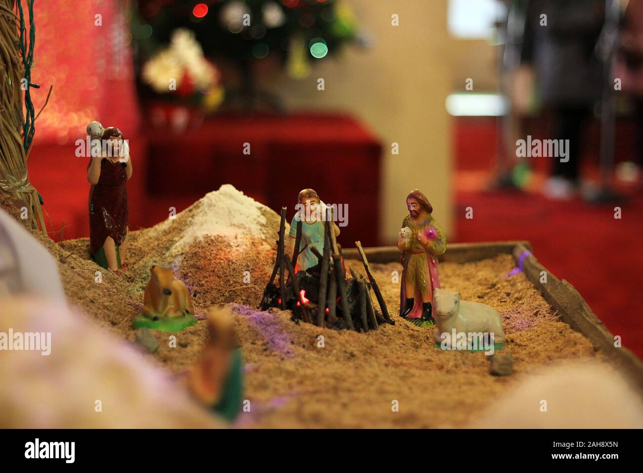 Srinagar, Jammu and Kashmir, India. 25th Dec, 2019. A decorated ...