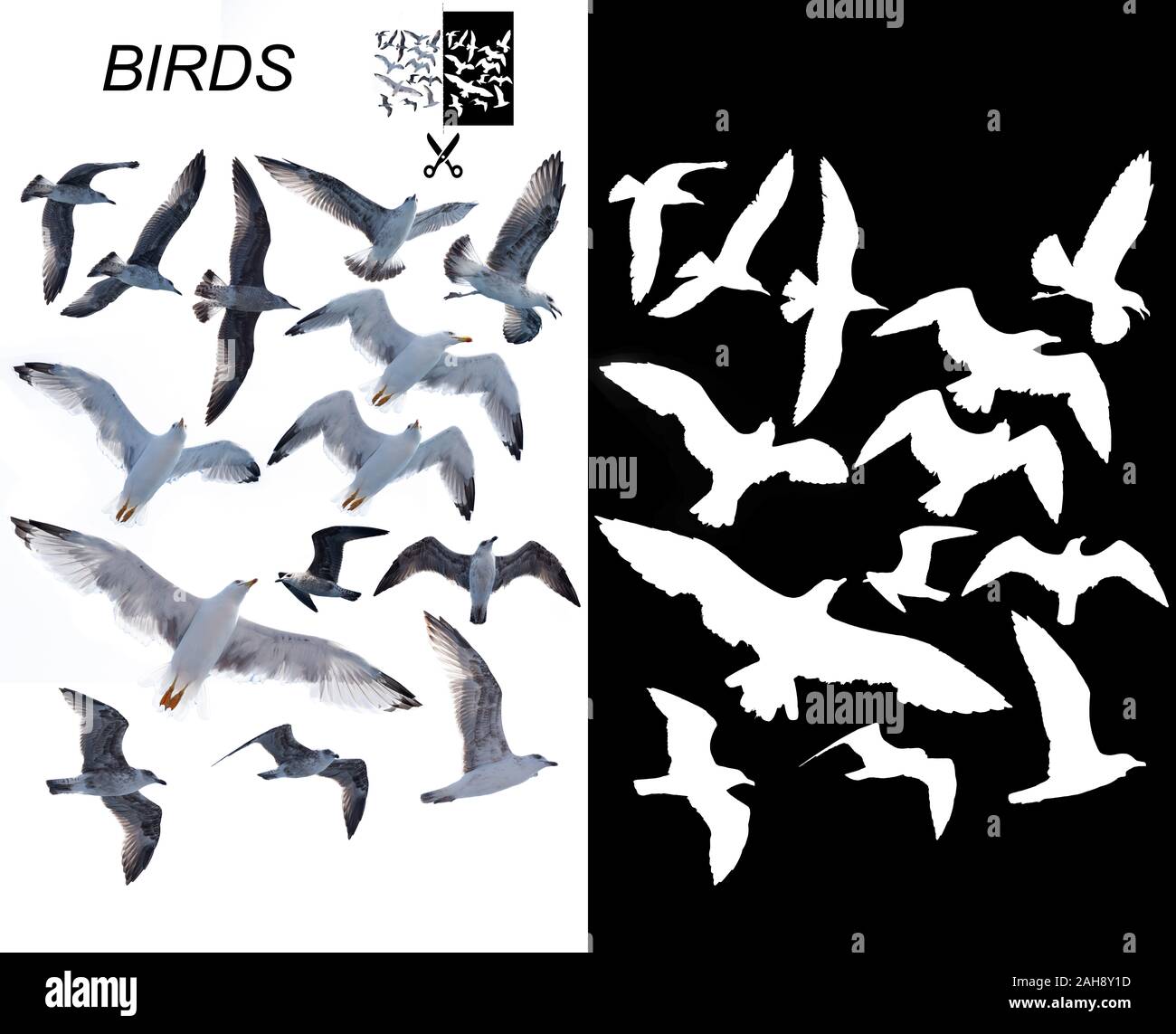 Mask layer hi-res stock photography and images - Alamy