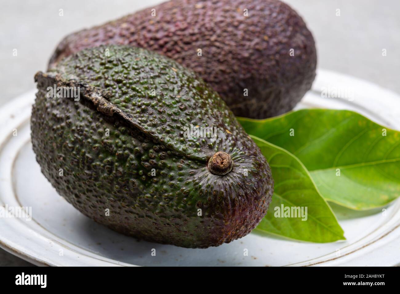 New harvest of fresh ripe hass avocado close up Stock Photo - Alamy