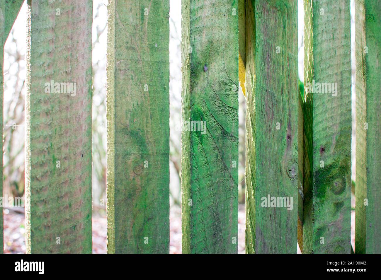 green fence texture in forest Stock Photo - Alamy
