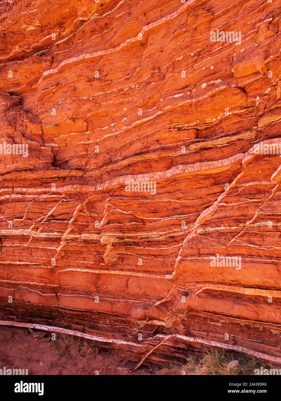 Layers of gypsum in a creek bed, Upper South Prong Trail, Caprock ...