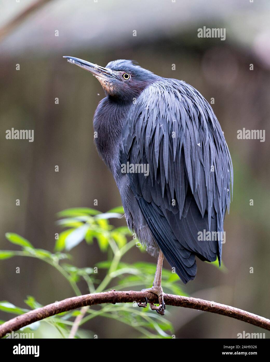 Computer screensaver windows hi-res stock photography and images - Alamy