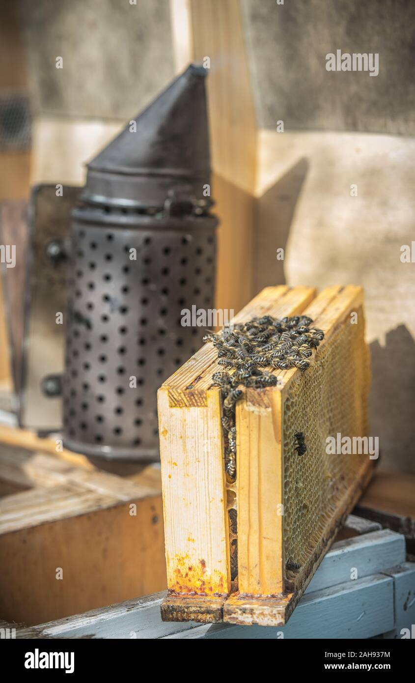Bees and beehives shot in Poland 2018 Stock Photo - Alamy