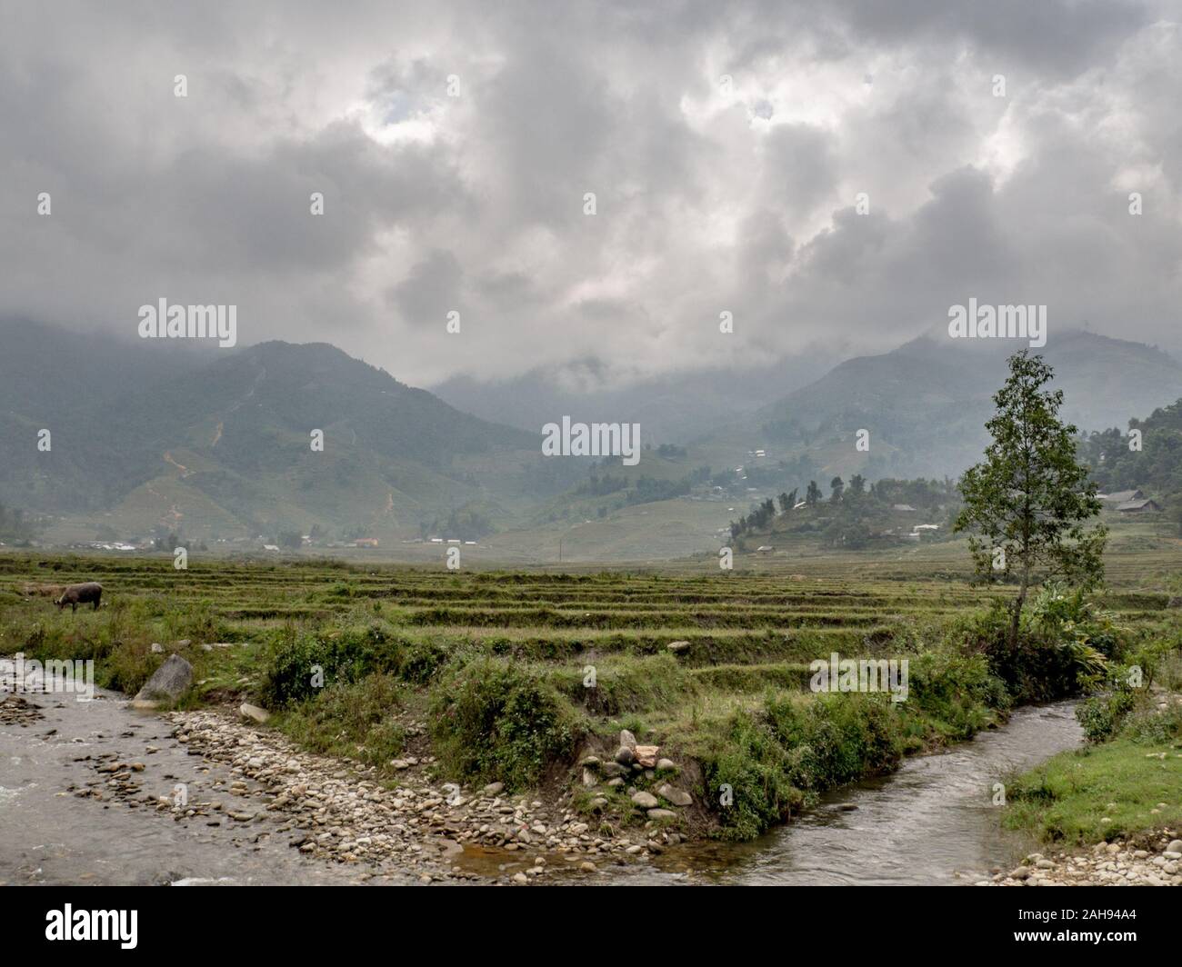 Sapa rice terraces and people hi-res stock photography and images - Alamy