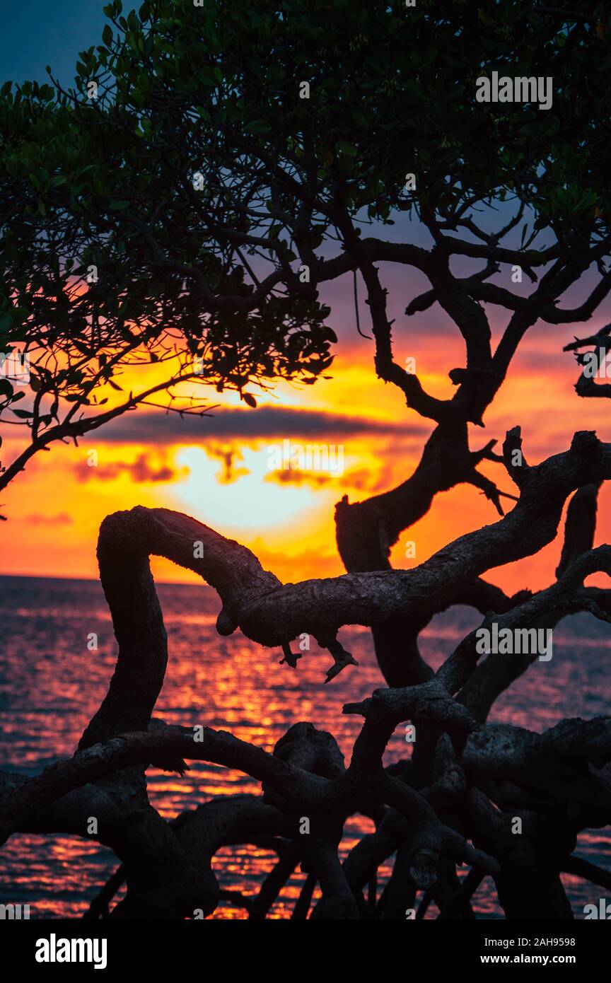 Beautiful Landscapes of Taurama, Papua New Guinea Stock Photo - Alamy