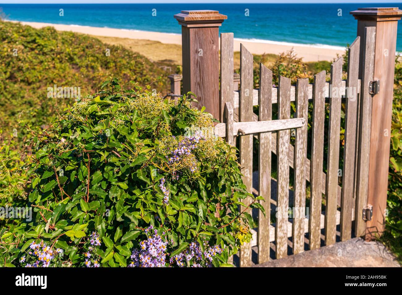 Nantucket island sconset hi-res stock photography and images - Alamy