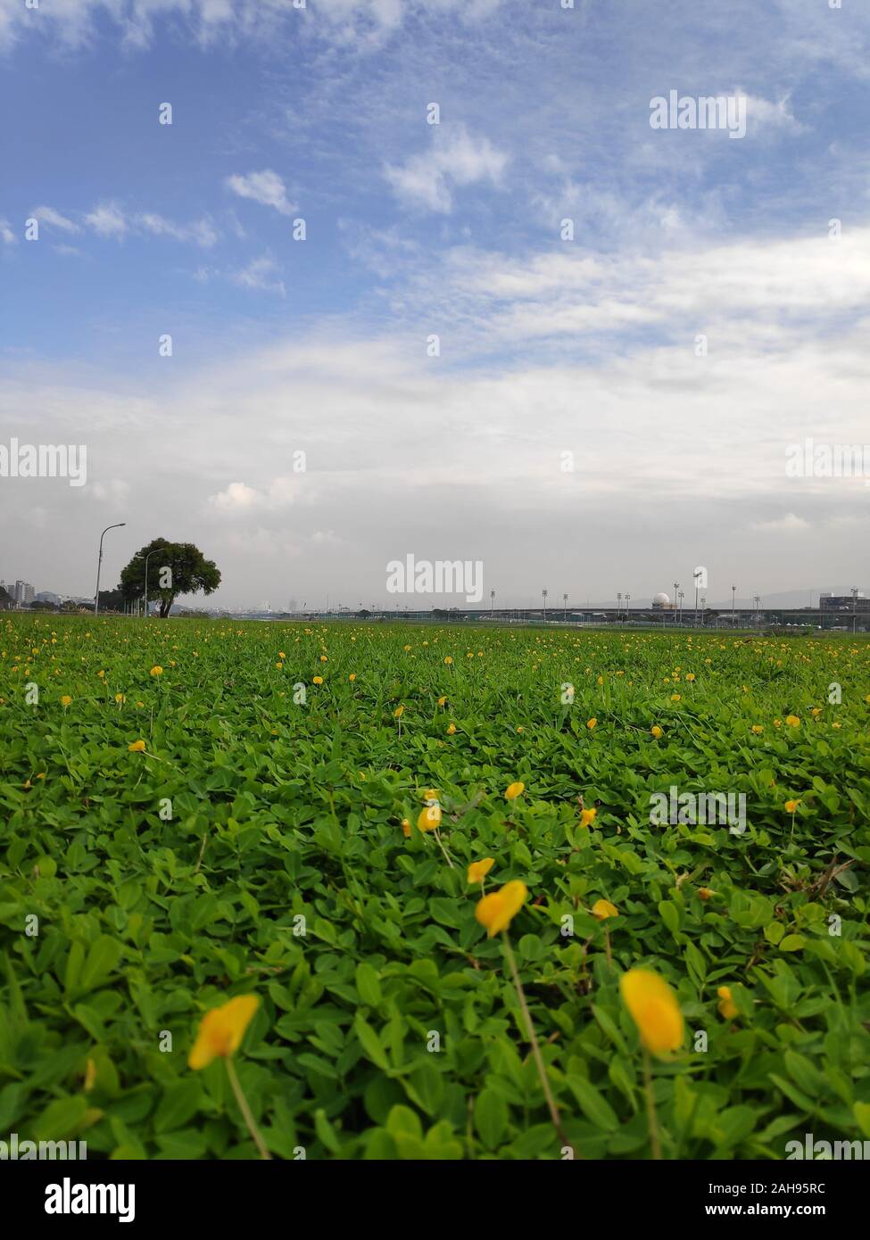 The Riverside park cycling path and landscape in Taipei Stock Photo - Alamy