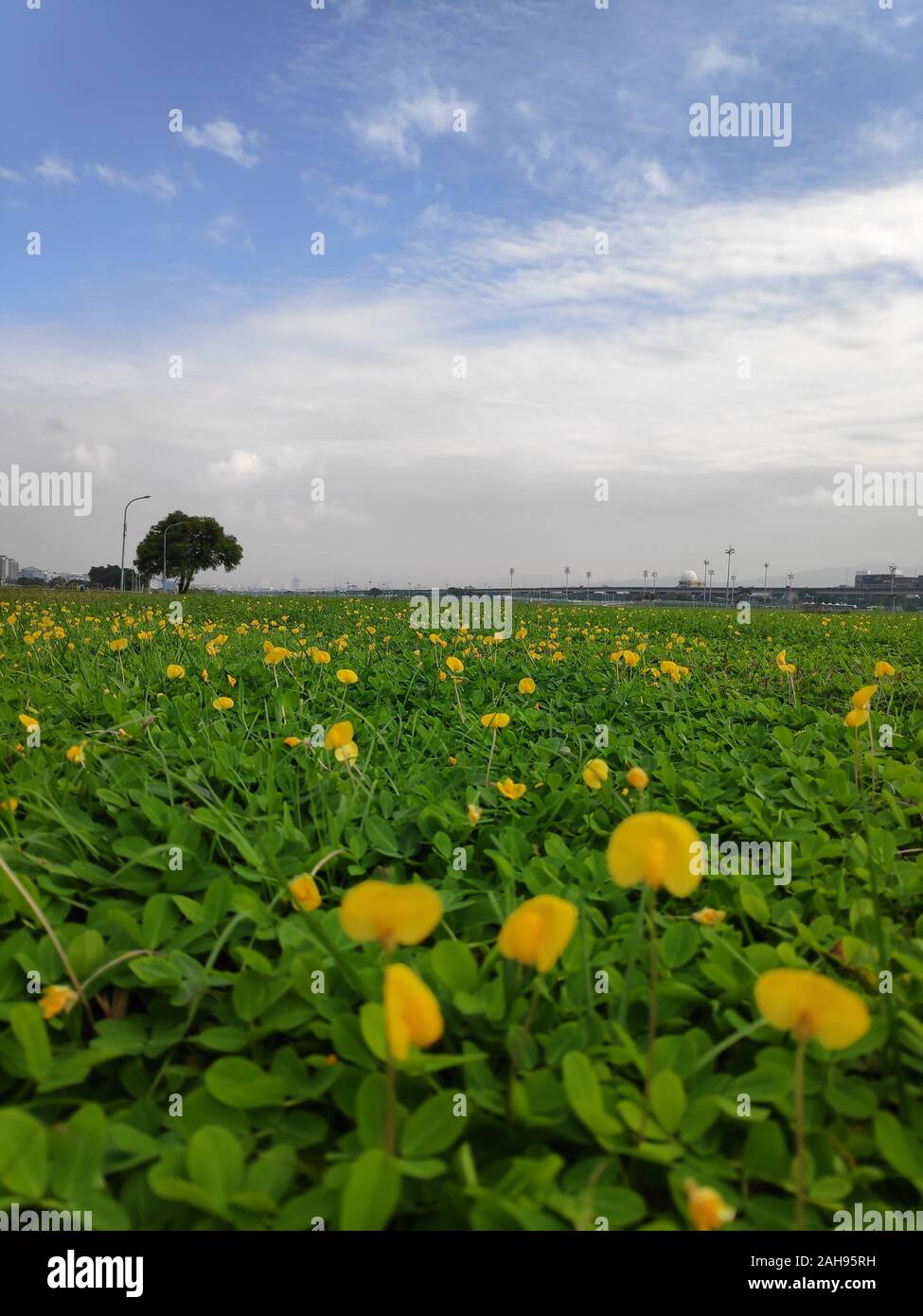 The Riverside park cycling path and landscape in Taipei Stock Photo - Alamy