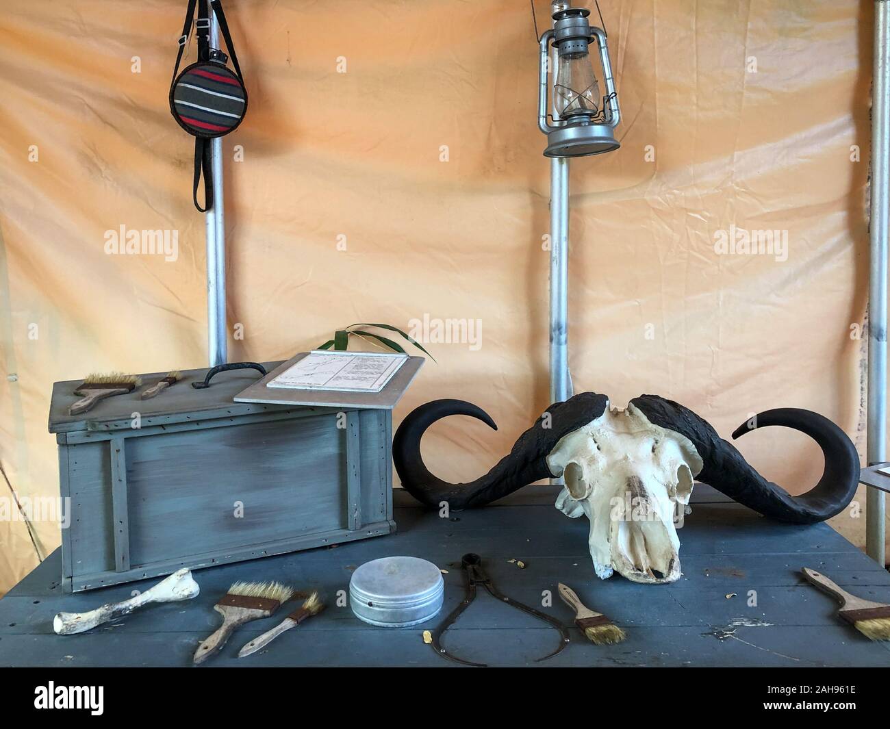 Table with all the tools for animal and conservation research in Africa ...