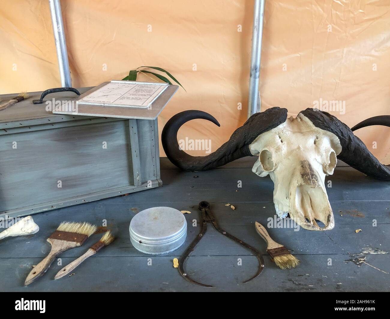 Table with all the tools for animal and conservation research in Africa ...