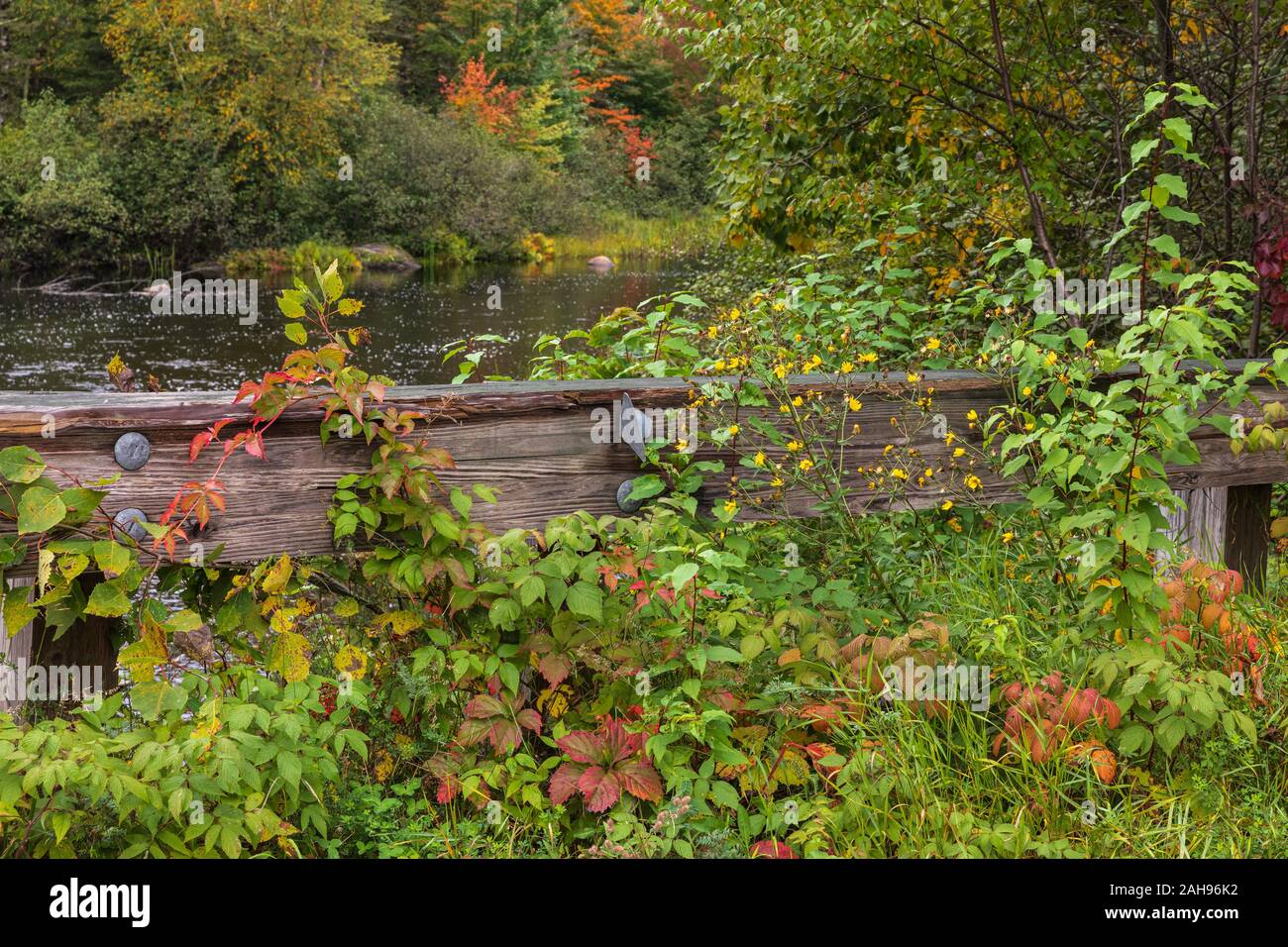 Old bridge crossing hi-res stock photography and images - Alamy