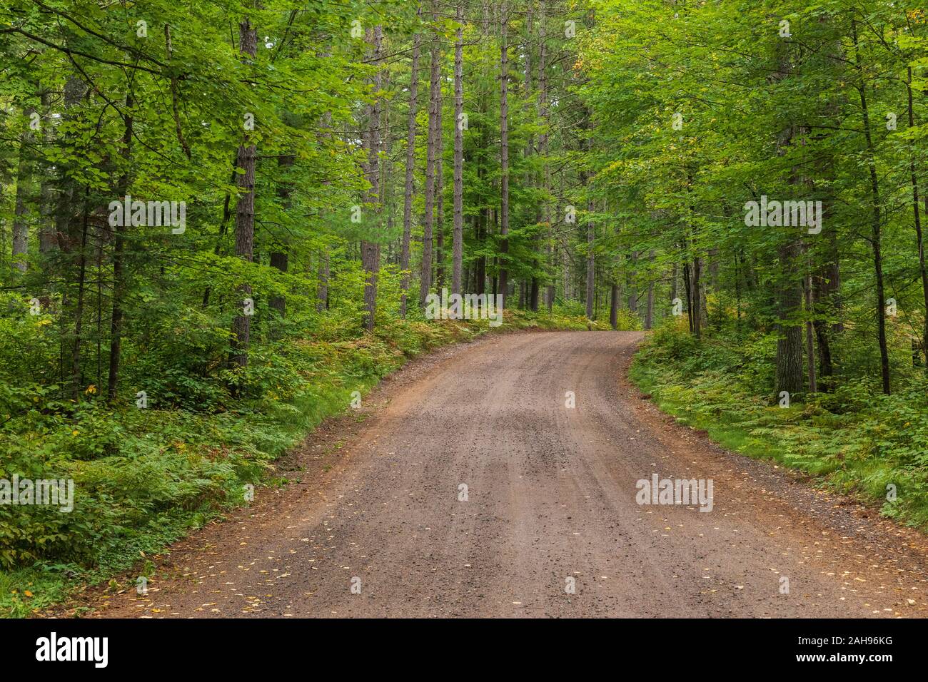 Chequamegon Nicolet National Forests High Resolution Stock Photography ...