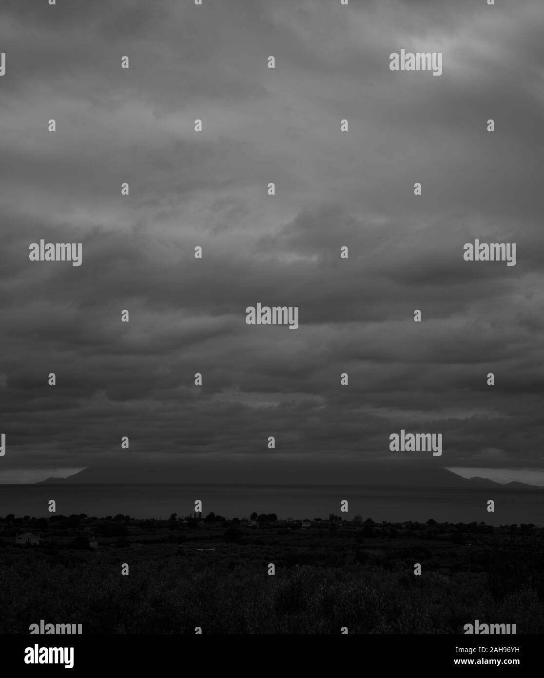 fog in the forest making pictures Stock Photo - Alamy