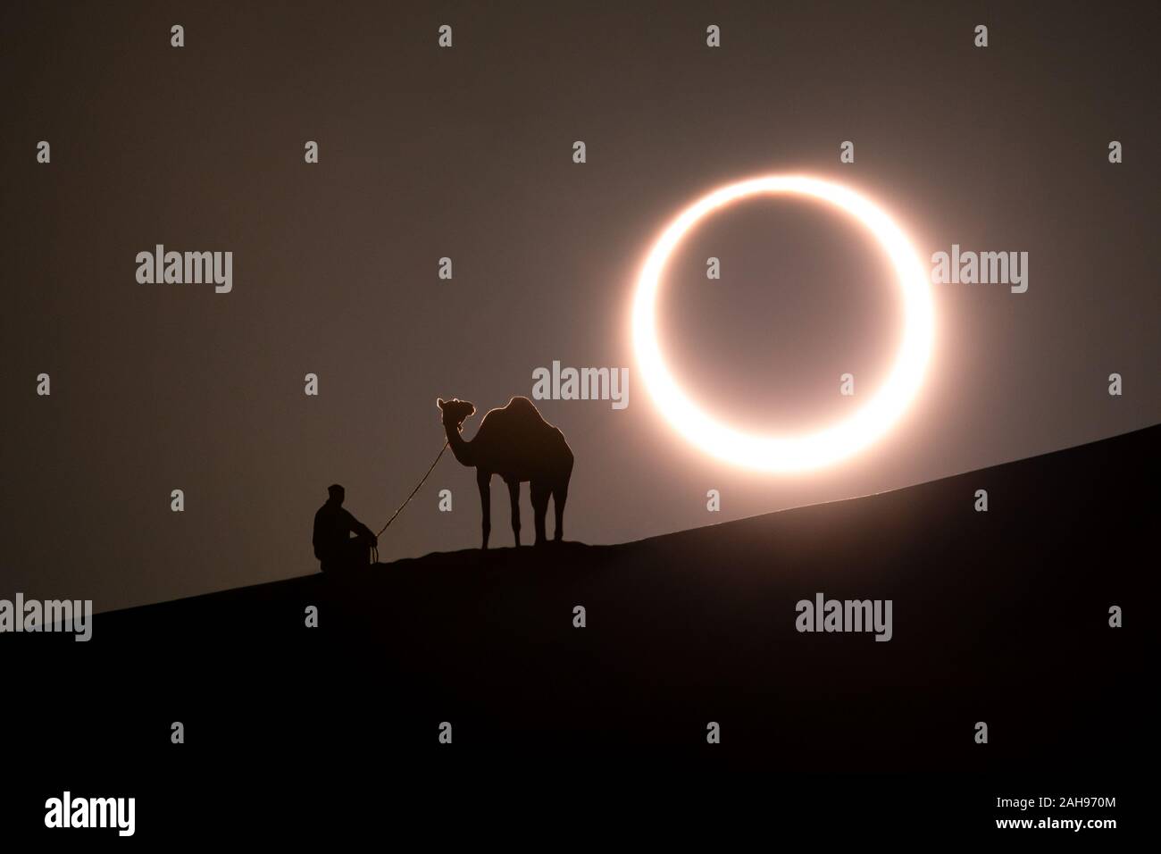 Annular solar eclipse in desert with a silhouette of a dromedary camel ...