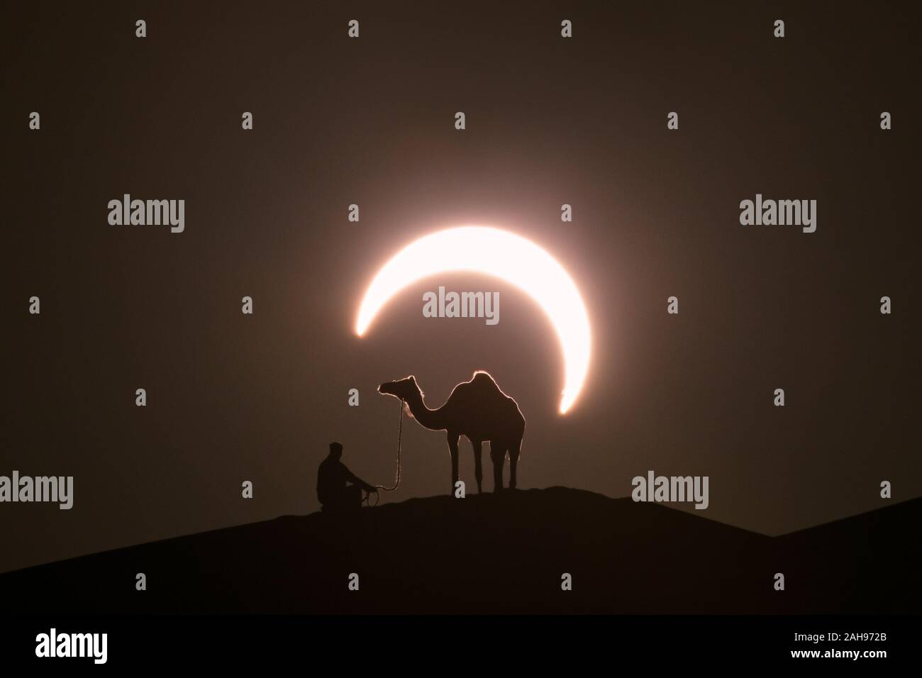 Annular solar eclipse in desert with a silhouette of a dromedary camel ...
