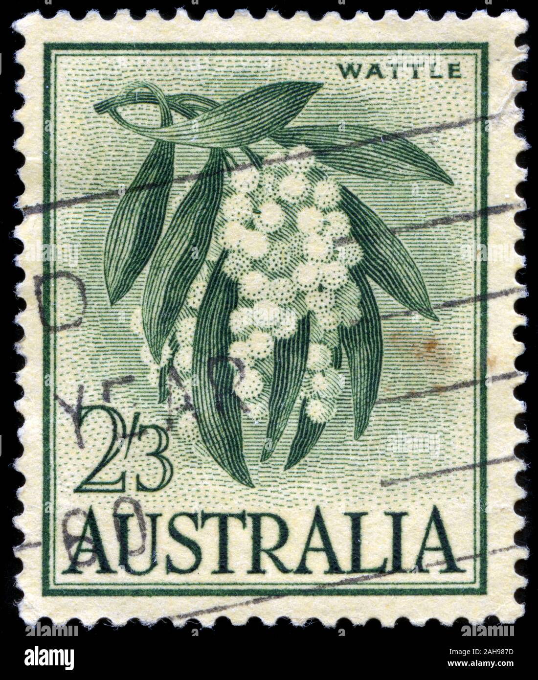 Wattle series hi-res stock photography and images - Alamy