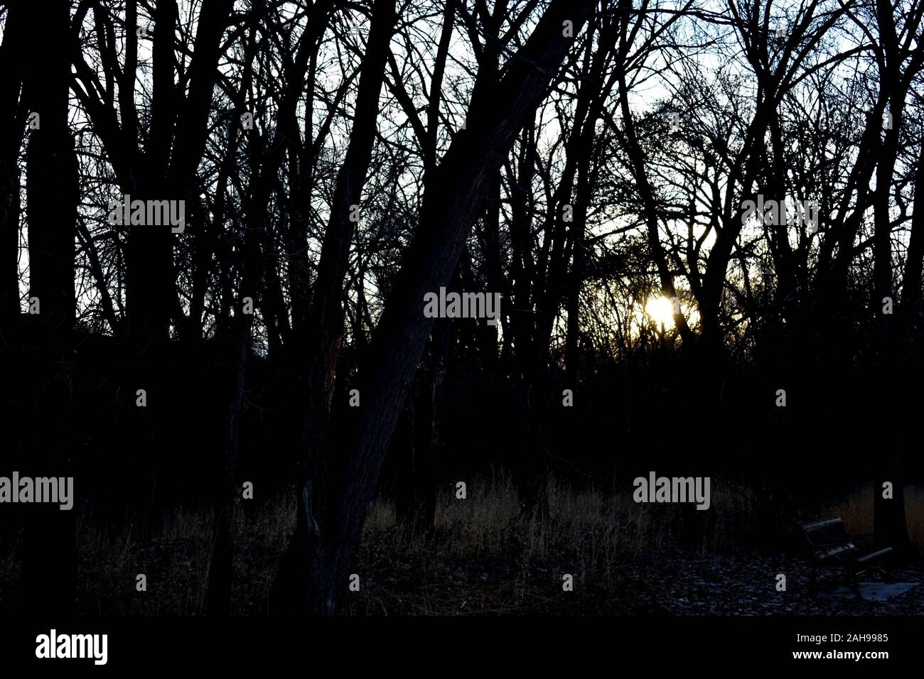 A beautiful forest area in Animas Park in Famington, New Mexico Stock ...