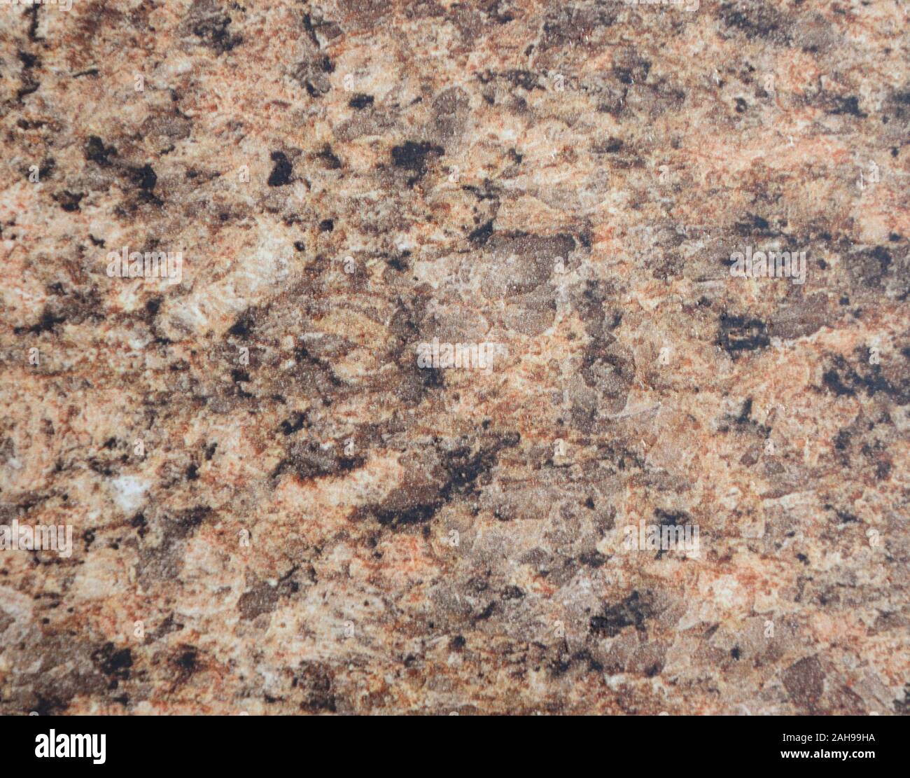 Brown granite with white and black spots, polished surface of natural ...