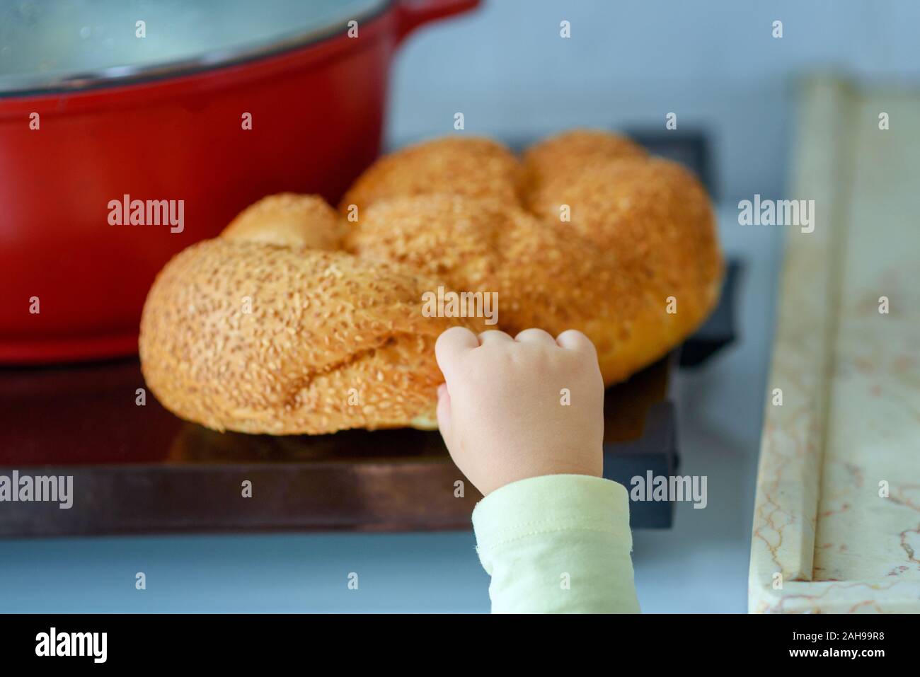 The hand of a hungry child hold and break a piece of bread. A kid's ...