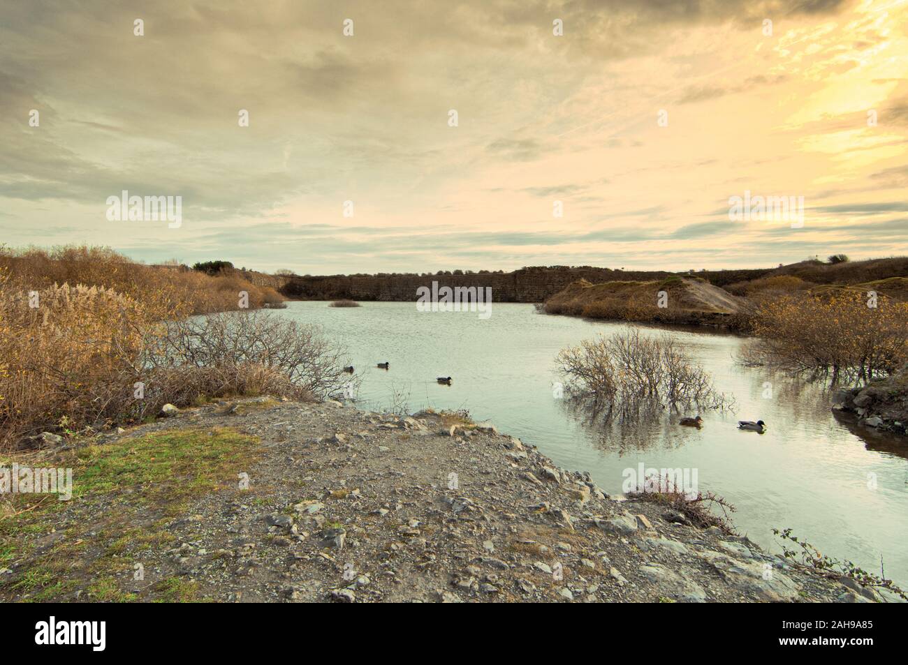 Rhoose hi-res stock photography and images - Alamy