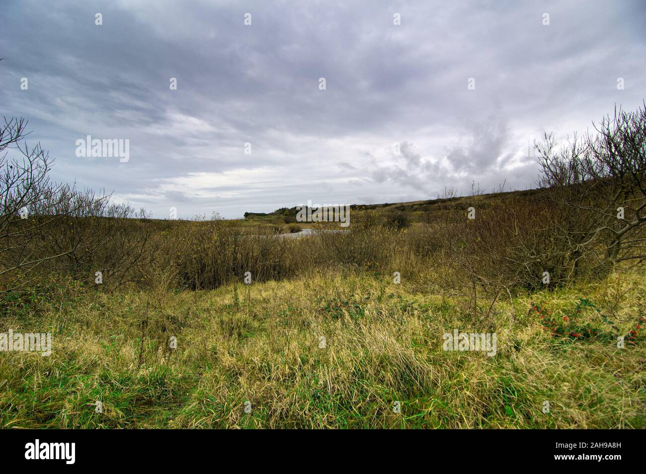 Rhoose hi-res stock photography and images - Alamy