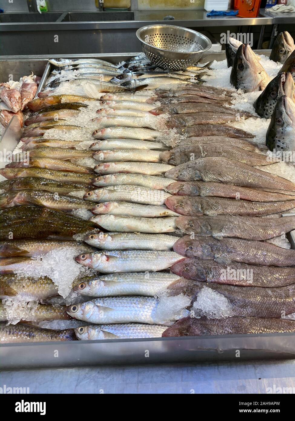 Vertical photo of frozen fish on ice at seafood market Stock Photo - Alamy