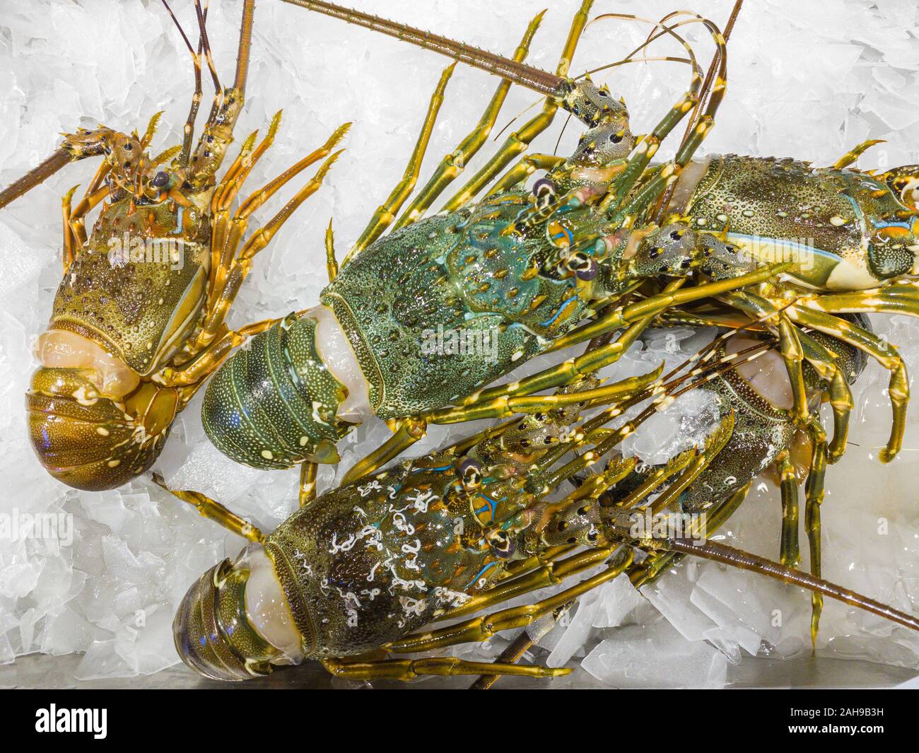 Fresh frozen lobster for sale on ice at supermarket Stock Photo - Alamy