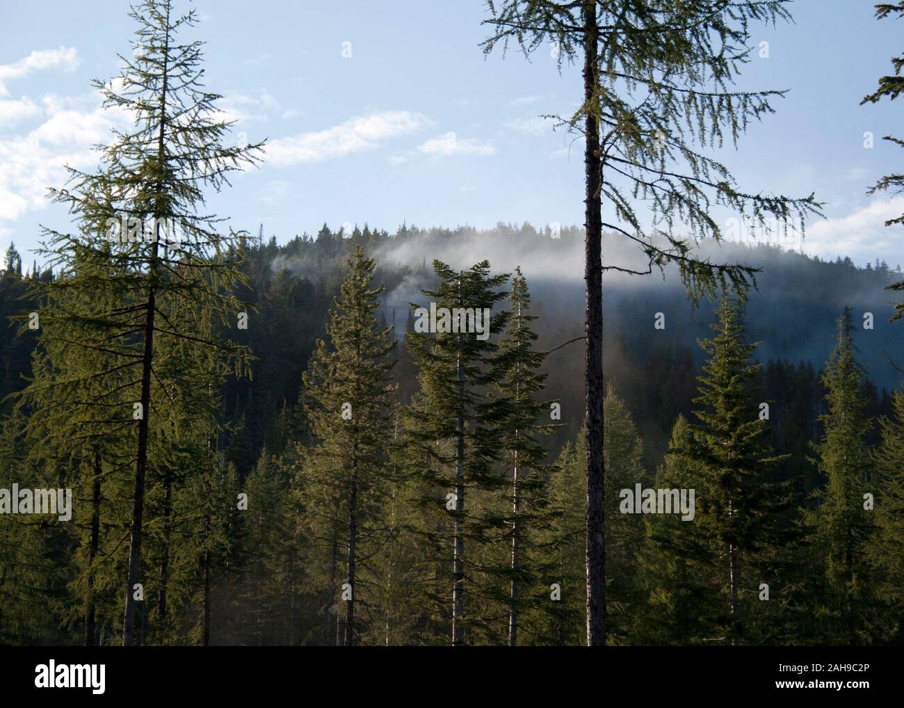 Colville national forest hi-res stock photography and images - Alamy