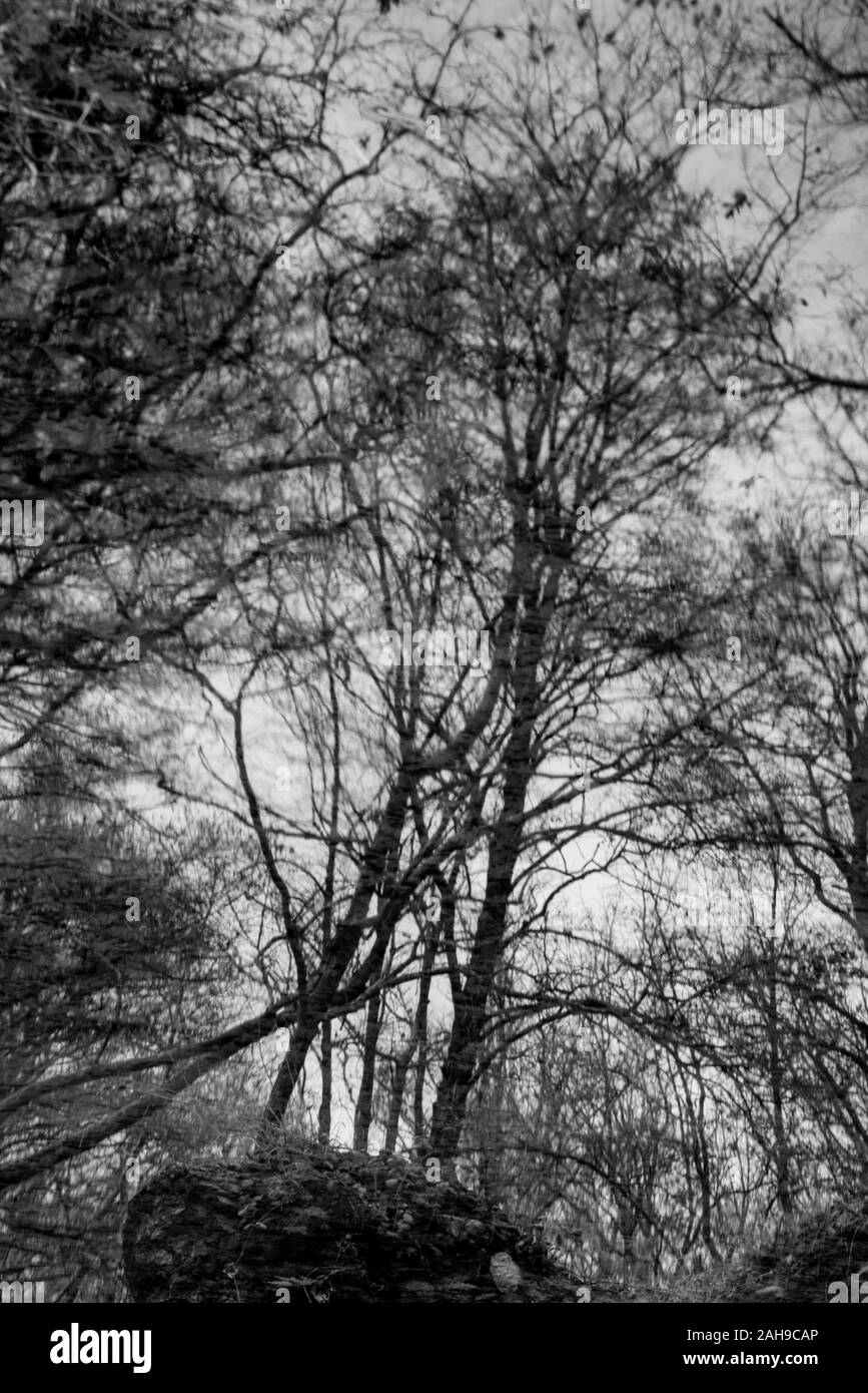 Reflection in mirror dark Black and White Stock Photos & Images - Alamy