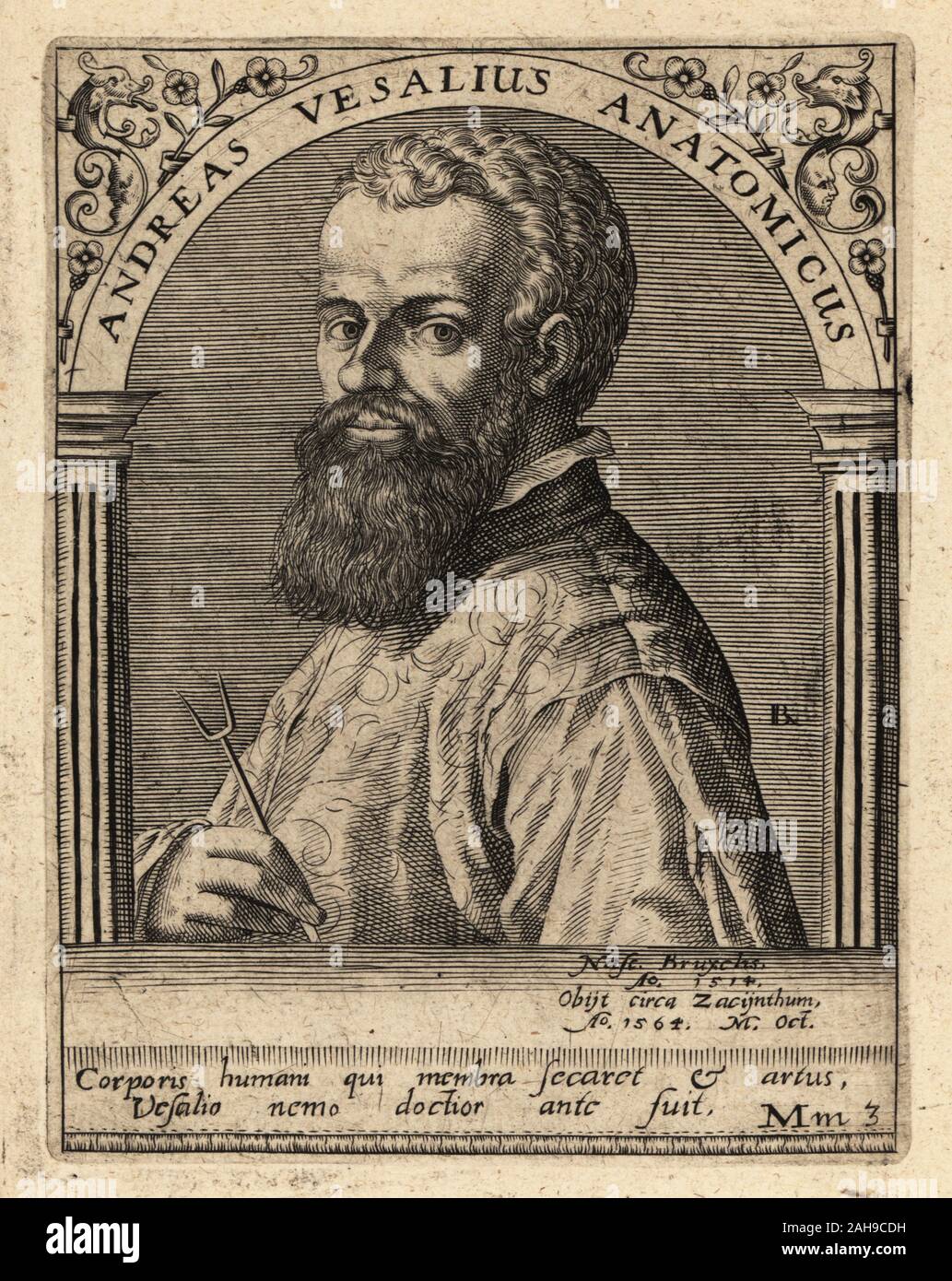 Andreas vesalius anatomicus hi-res stock photography and images - Alamy