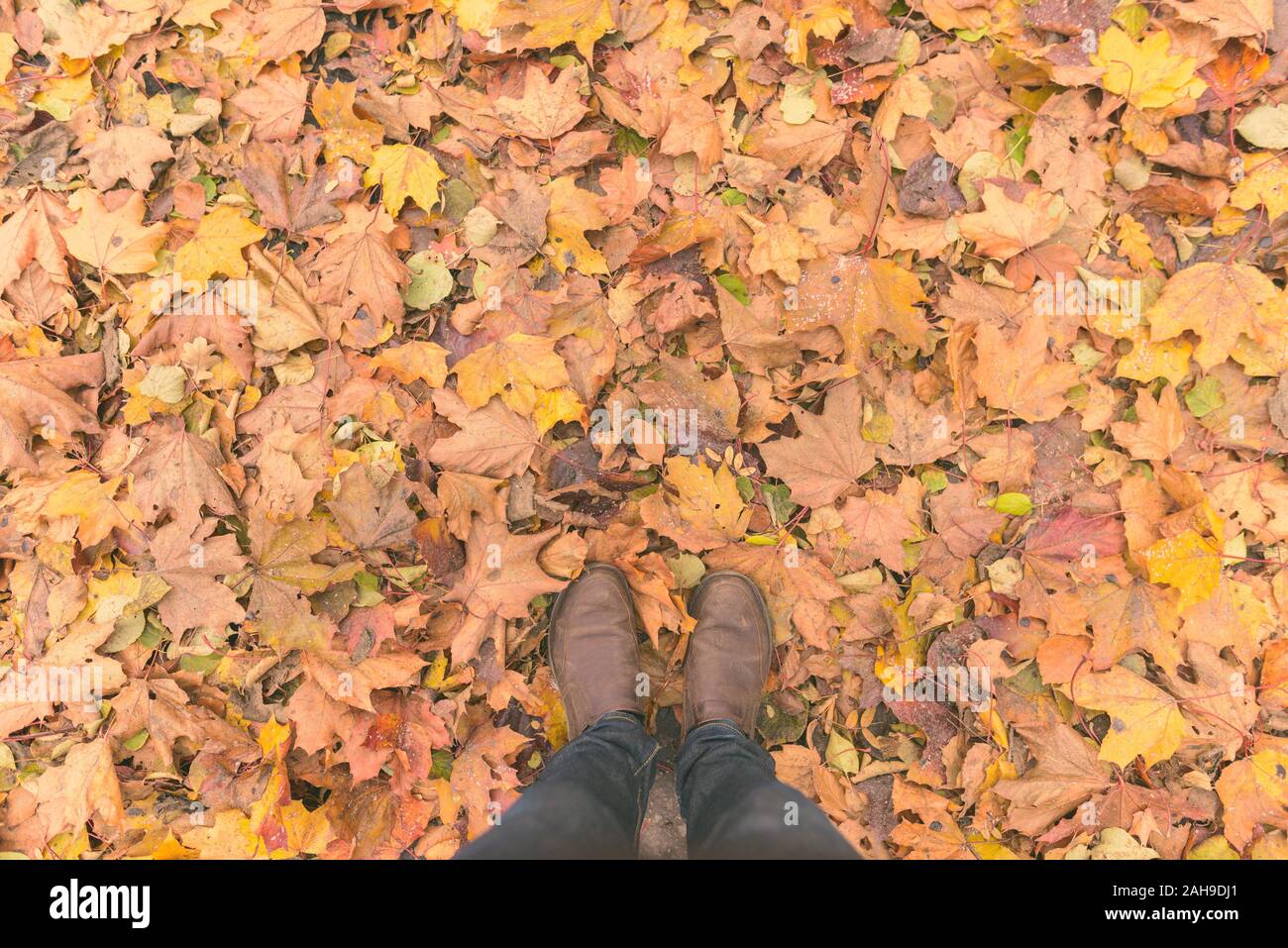 Overhead shot of feet hi-res stock photography and images - Alamy