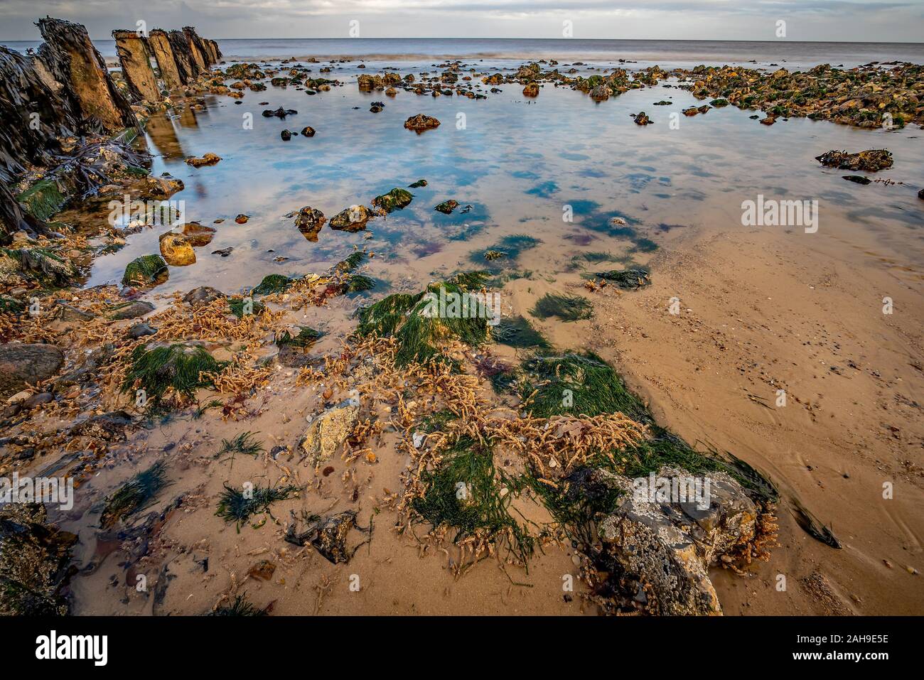 Water Seaweed Rocks High Resolution Stock Photography and Images - Alamy