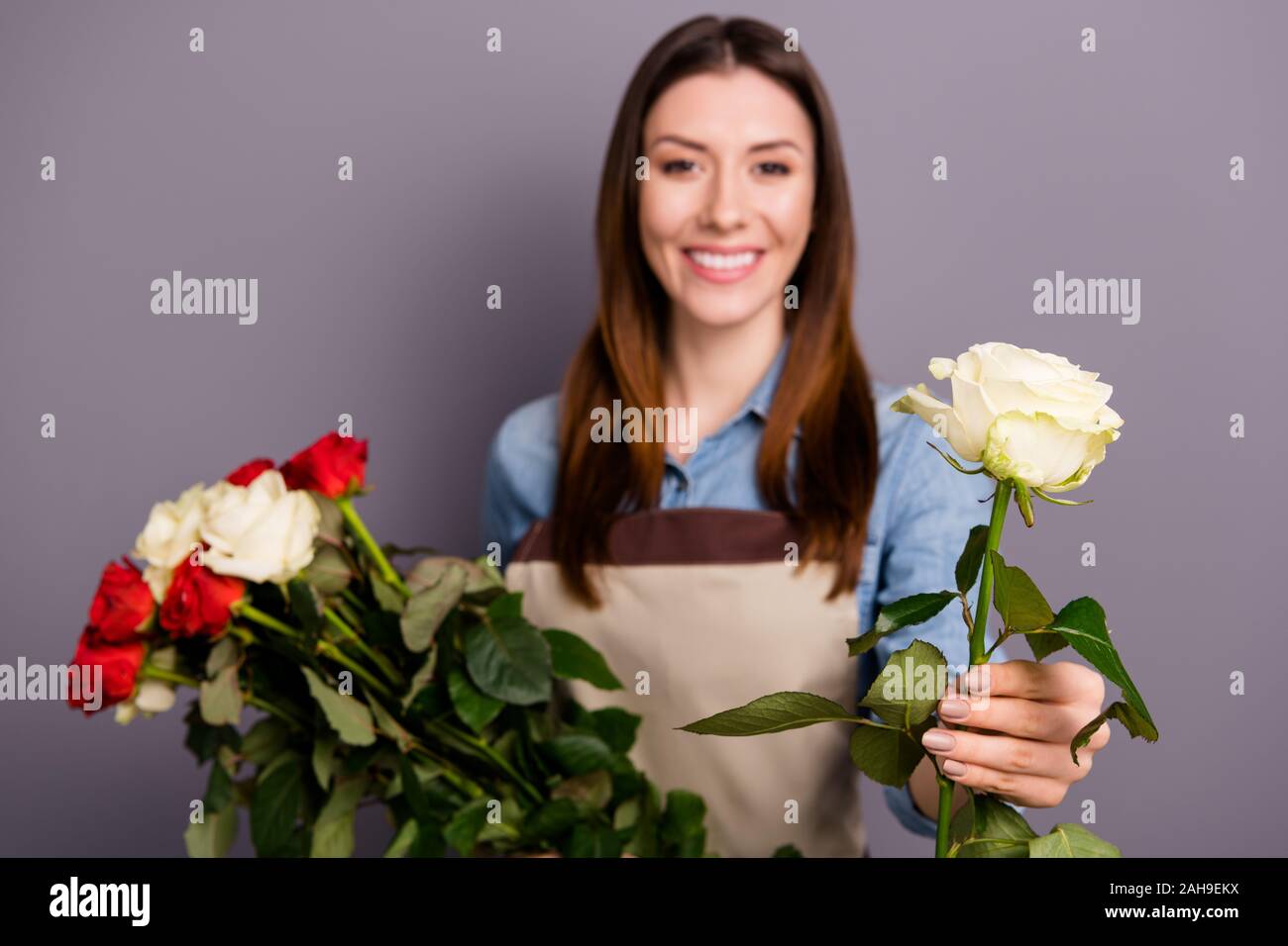 Photo of sale manager lady demonstrating client fresh white rose ...