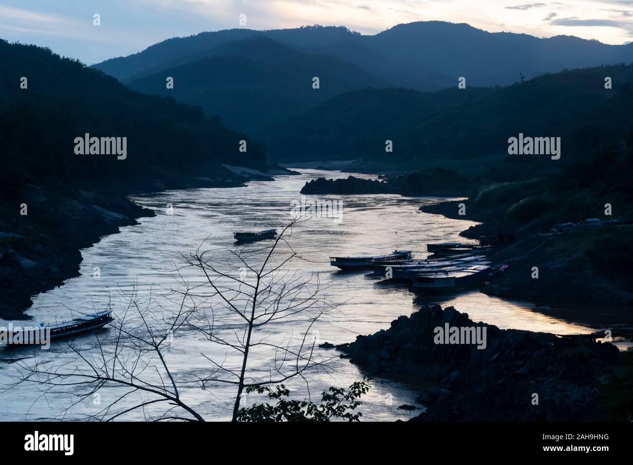 Pak trees hi-res stock photography and images - Alamy