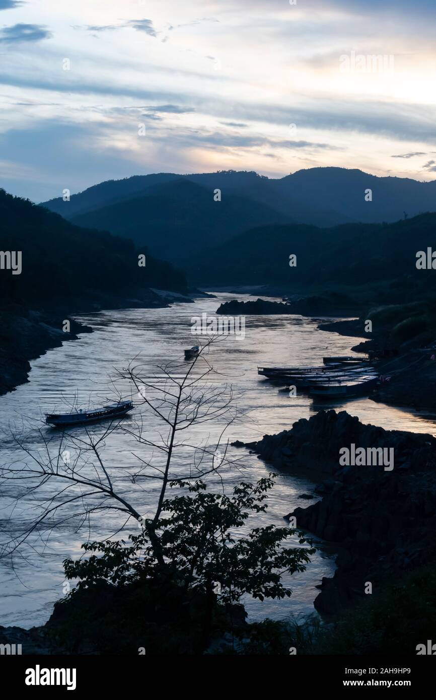 Pak trees hi-res stock photography and images - Alamy