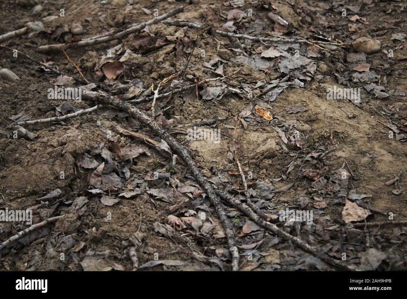 Grunge soil background. Grey soil background Stock Photo - Alamy