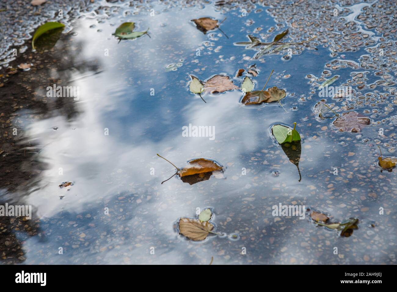 Sky reflected on water puddle Stock Photo - Alamy