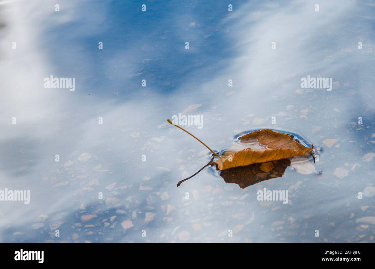 Water puddle hi-res stock photography and images - Alamy