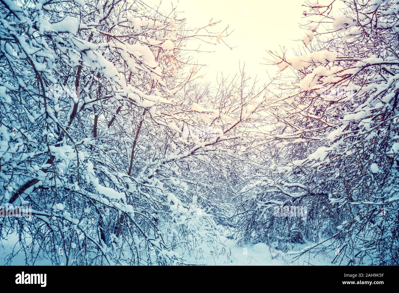 Pretty Snow Blizzards