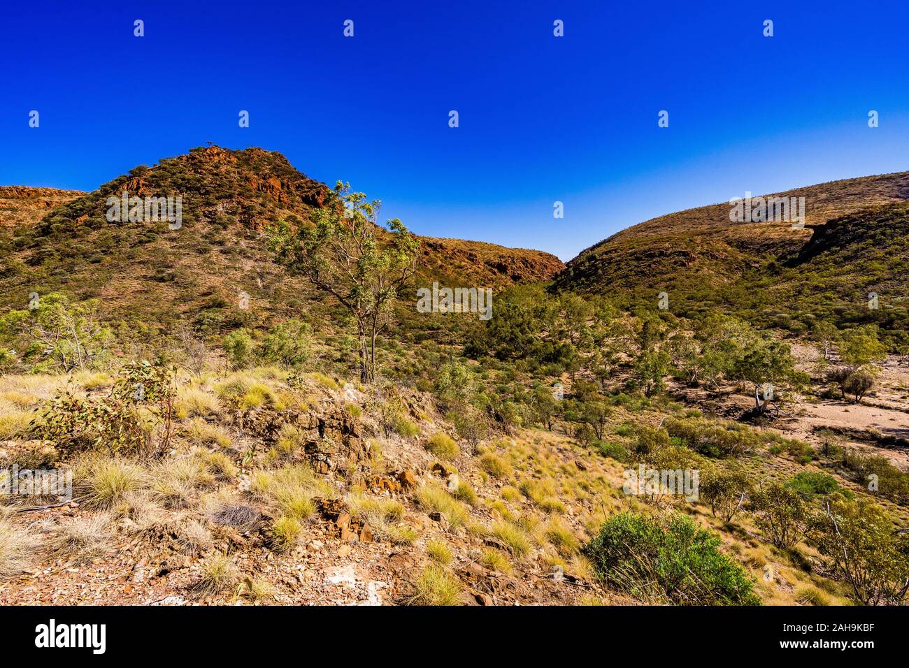 Redbank Gorge is a gap in the West MacDonnell Ranges in the Northern ...